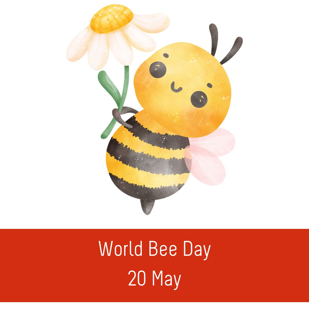 Bee Amazing! – Plato's Wonder. Create. Discover