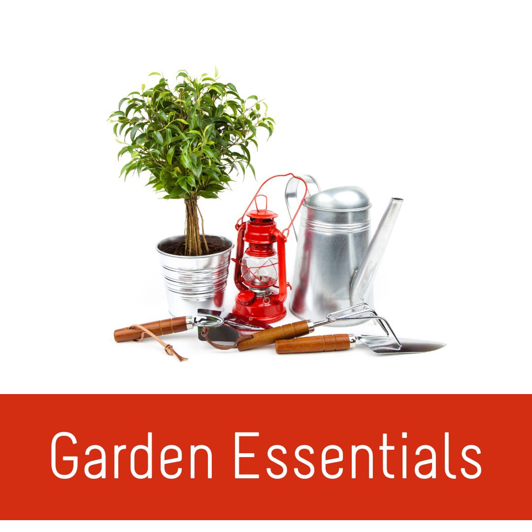 Garden Essentials – Tagged "Planters and Vases" – Plato's Wonder ...