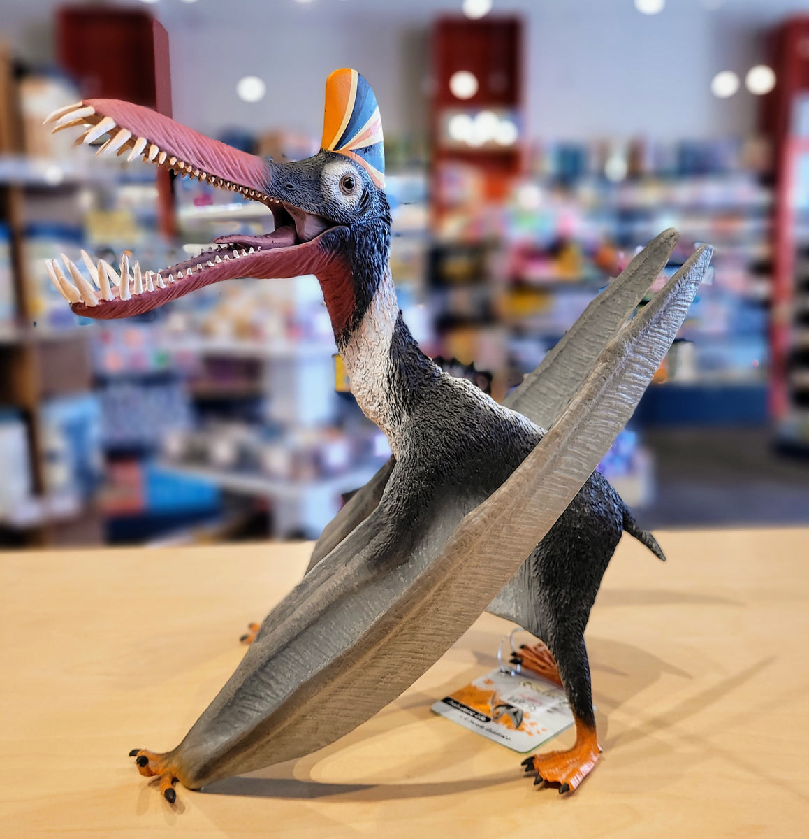 CollectA Dinosaur Figurine Guidraco – Plato's Wonder. Create. Discover