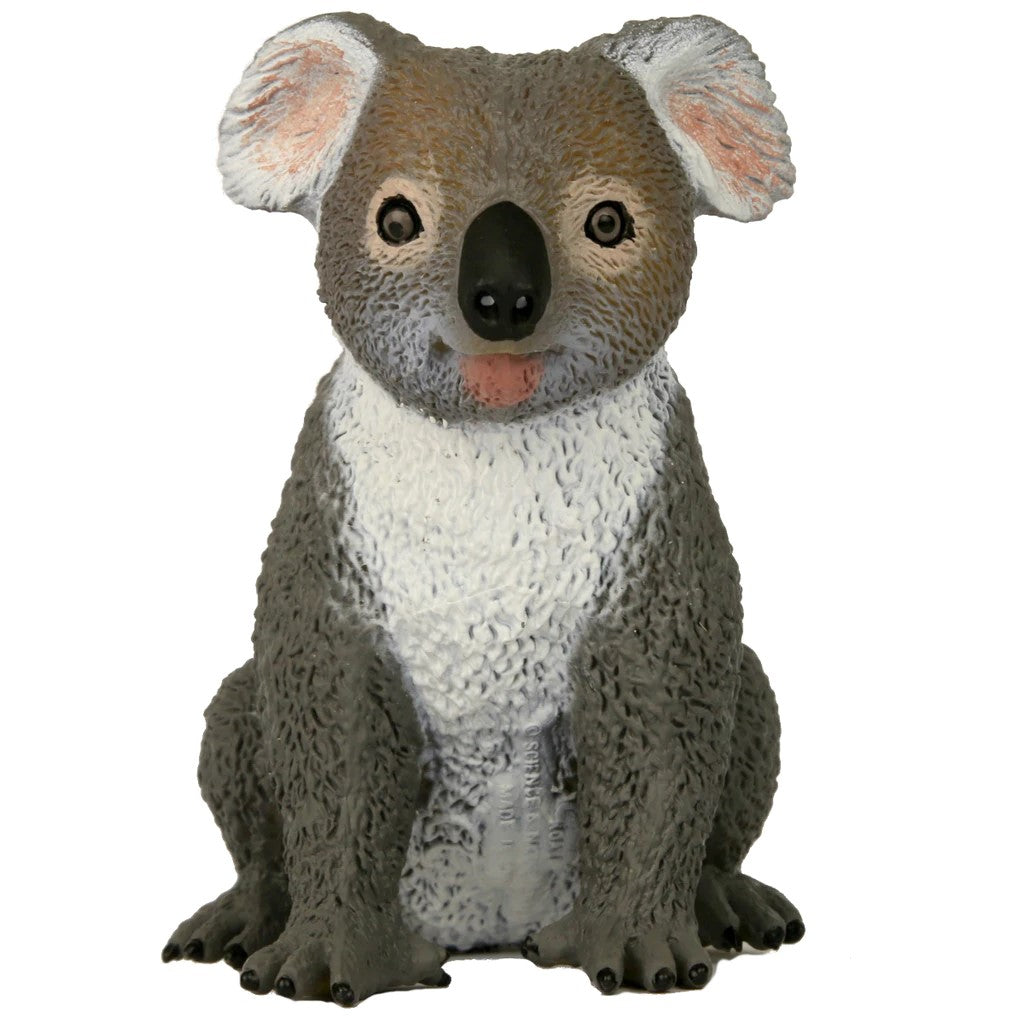 Koala Plastic Large – Plato's Wonder. Create. Discover