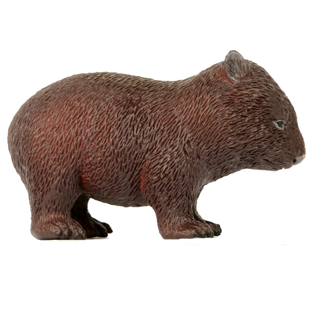 Wombat Plastic Large – Plato's Wonder. Create. Discover
