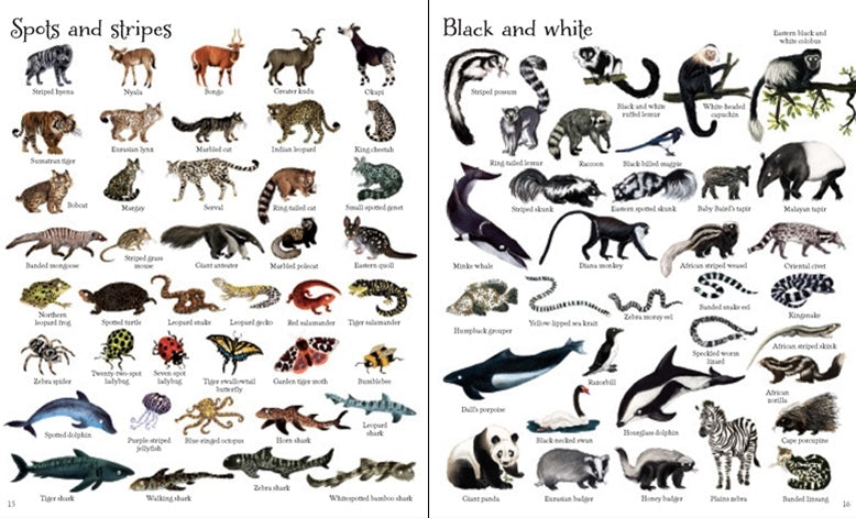 1000 Animals Usborne Hardcover Book – Plato's Wonder. Create. Discover