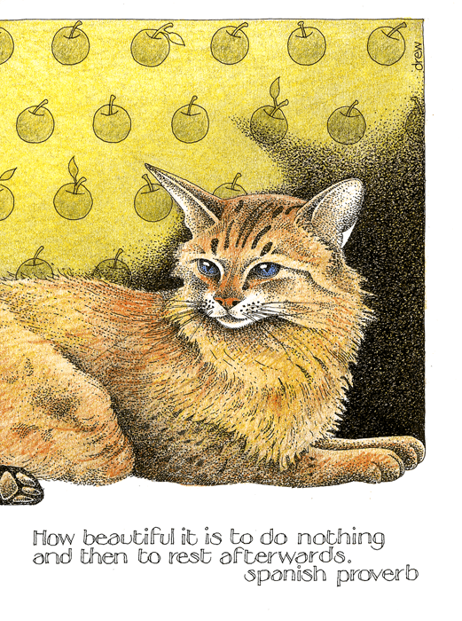 Simon Drew Greeting Card Do Nothing – Plato's Wonder. Create. Discover